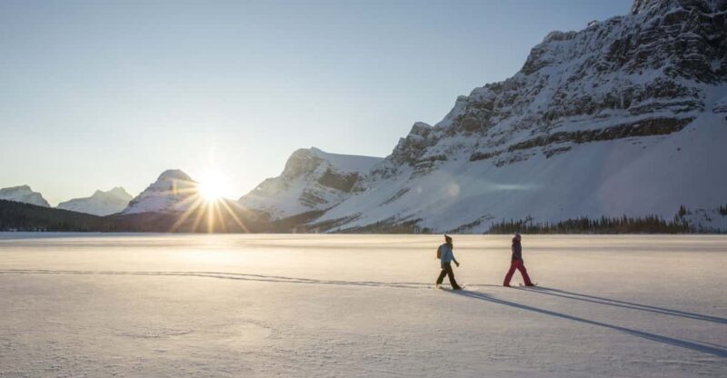 Tromsø: Snowshoeing in Scenic Landscape - An Overview of the Experience