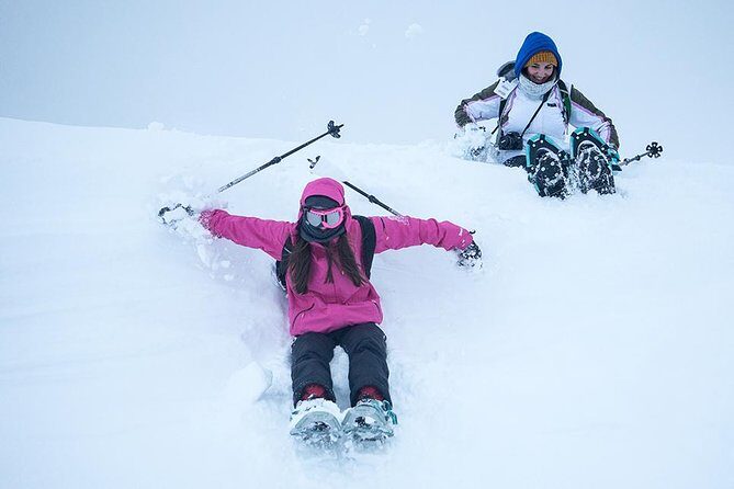 Tromso Snowshoeing - Valley, Fjord Views, Wildlife, Meal & Pickup - Discover Tromso’s Snowshoeing Experience