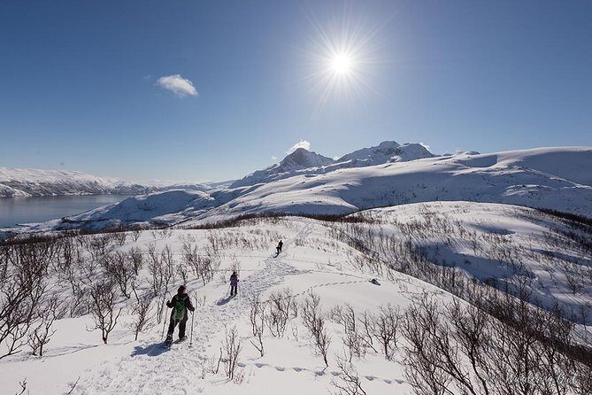 Tromso Snowshoeing - Valley, Fjord Views, Wildlife, Meal & Pickup - Final Thoughts: Who Will Love This Tour?