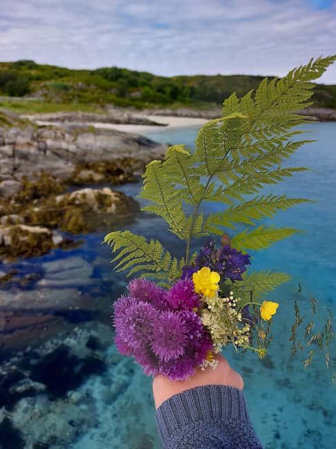 Tromsø: Sommaroy Fjord Tour with Lunch Option - Lunch Break and Local Cuisine