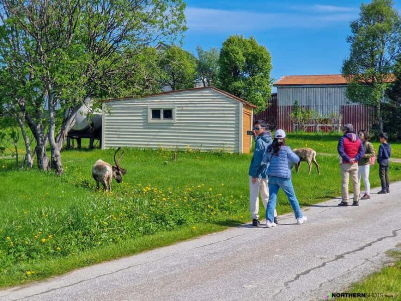 Tromsø: Sommaroy Fjord Tour with Lunch Option - Overall Value and Experience