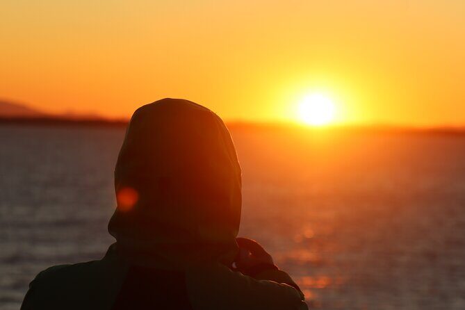 Tromsø & Sommarøy - Private coastal tour with a local - Is This Tour Worth Its Price?