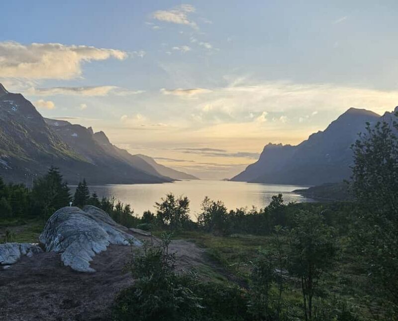 Tromsø: Sommerøya and Kvaløya Arctic Fjords Tour with Lunch - Key Points