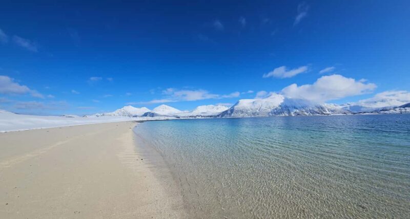 Tromsø: Sommerøya and Kvaløya Arctic Fjords Tour with Lunch - The Itinerary — What Makes It Special