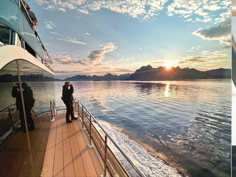 Tromsø: Summer Arctic Light Cruise with a Guide - The Experience in Detail