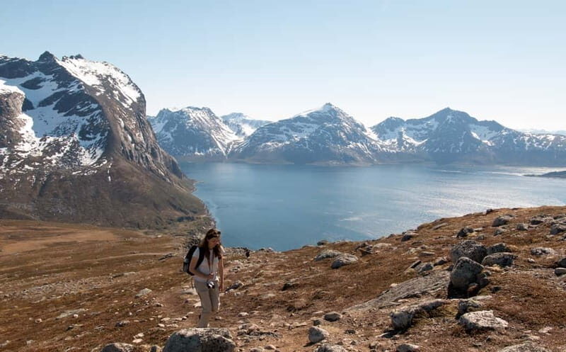 Tromsø: Summer Day Hike in the Wilderness - An In-Depth Look at the Tromsø Wilderness Hike