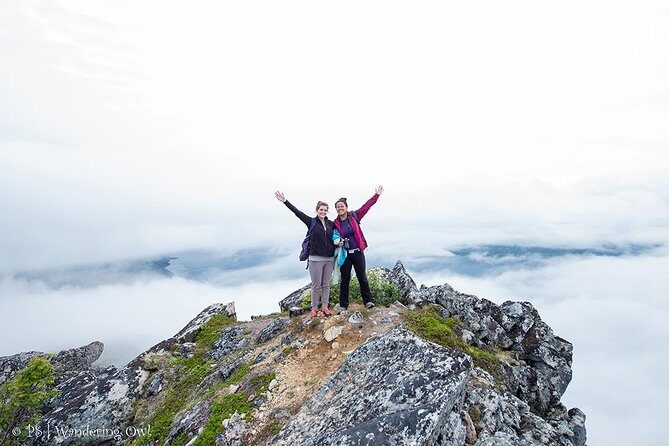 Tromsø: Summer Day Hike with Wandering Owl - Who Is This Tour Perfect For?