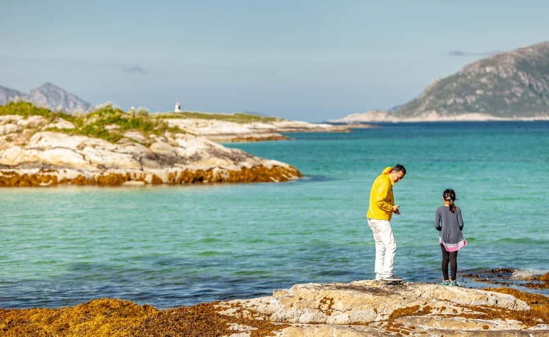 Tromsø: Summer Fjord Road Trip with Citizen Science - Key Points