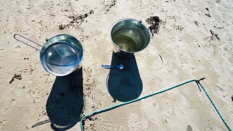 Tromsø: Summer Fjord Road Trip with Citizen Science - Frequently Asked Questions