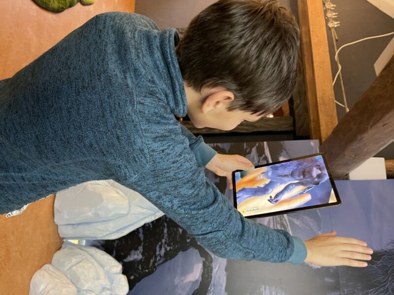 Tromsø: Troll Museum Entry Ticket with AR Media Experience - FAQ