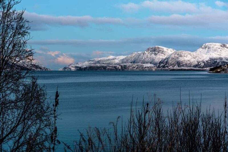 Tromso: Visit 5 Fjords in 4 hours - A Closer Look at the Fjord Tour Experience