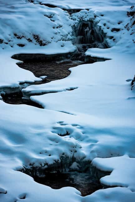 Tromso: Visit 5 Fjords in 4 hours - The Sum Up