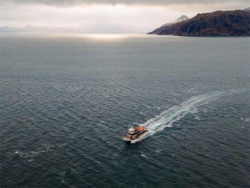 Tromsø: Whale Watching on hybrid boat with scenic bustrip - Analyzing the Value and Practicalities