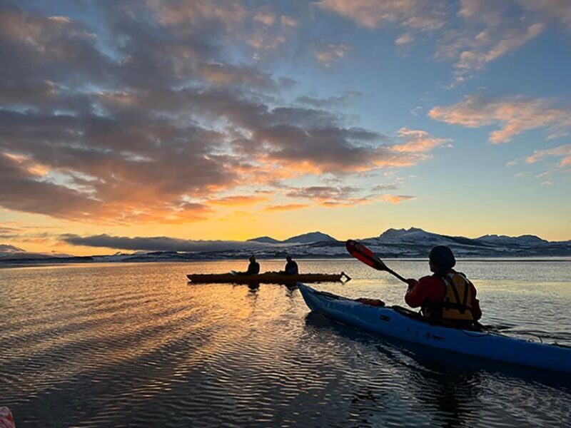 Tromsø: Winter Sea Kayaking Tour with Wildlife Sightings - An In-Depth Look at the Tromsø Winter Sea Kayaking Experience