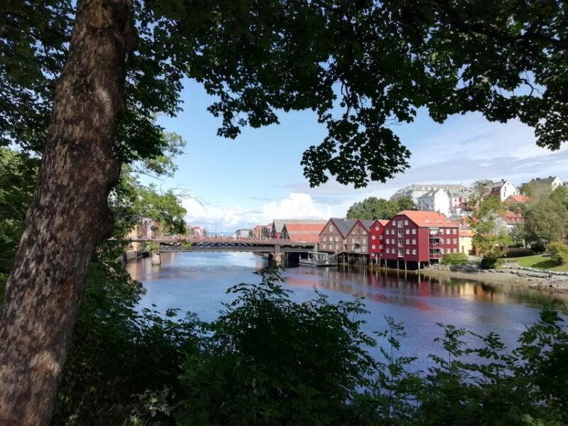 Trondheim : Explore the city of kings with a local guide - An In-Depth Look at the Trondheim City Walk