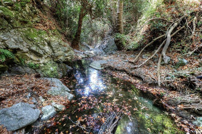 Troodos Jeep Safari from Protaras,Ayia napa & Larnaca - The Upsides and Downsides