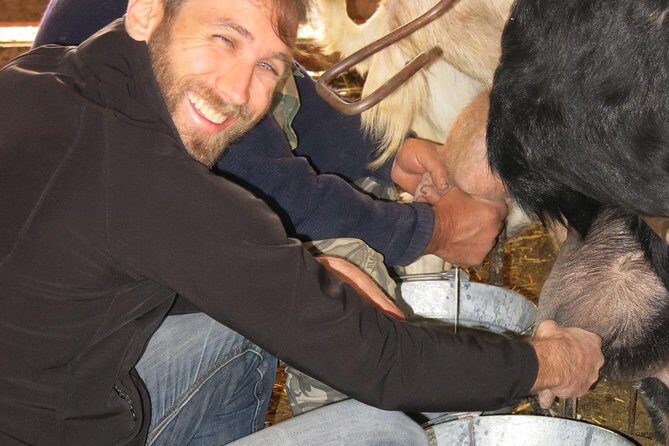 Troodos Mountains Halloumi Making: All Inclusive Workshop & Tour - FAQ