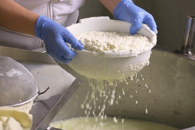 Troodos Mountains Halloumi Making: All Inclusive Workshop & Tour - Exploring the Itinerary: A Deep Dive