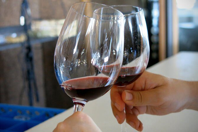 Troodos Mountains Vino Venture: All Inclusive Full Day Wine Tour - The Practicalities: What’s Included & What to Consider