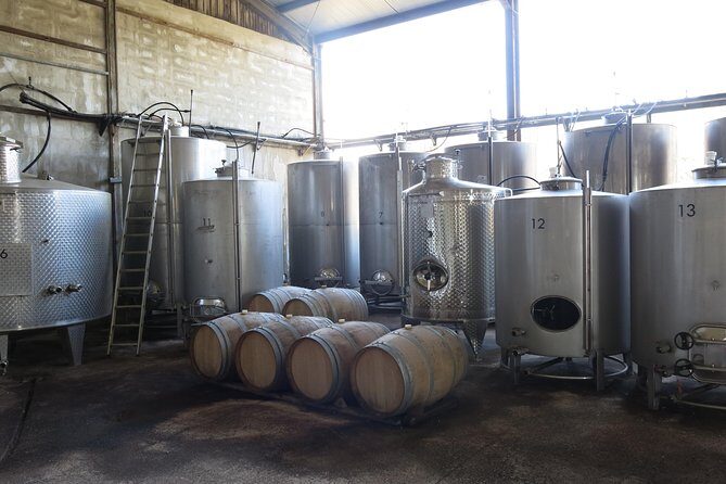 Troodos Mountains Vino Venture: All Inclusive Full Day Wine Tour - Introduction: Why This Tour Is Special