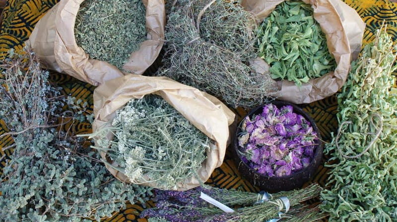 Troodos Villages and Kykkos Monastery from Paphos in Polish - Transportation and Overall Experience