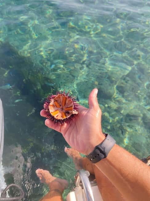 Tropea: escursione Max 9 People esclusive Costa degli Dei - The Sum Up