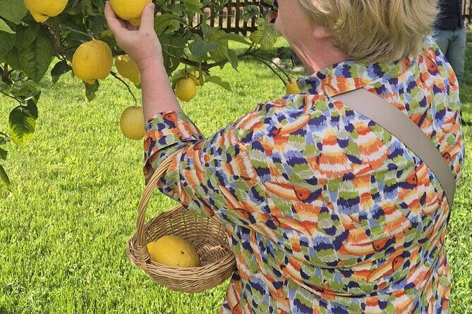 Tropea Lemon Experience - Introduction