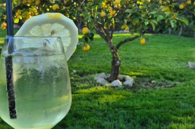 Tropea Lemon Experience - Meeting Points and Practical Details