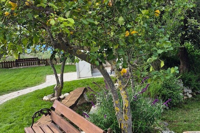 Tropea Lemon Experience - The Value of the Tropea Lemon Experience