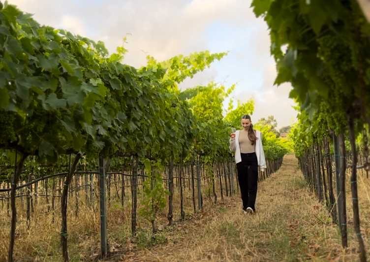 Tropea: Wine and Food Tasting - FAQ