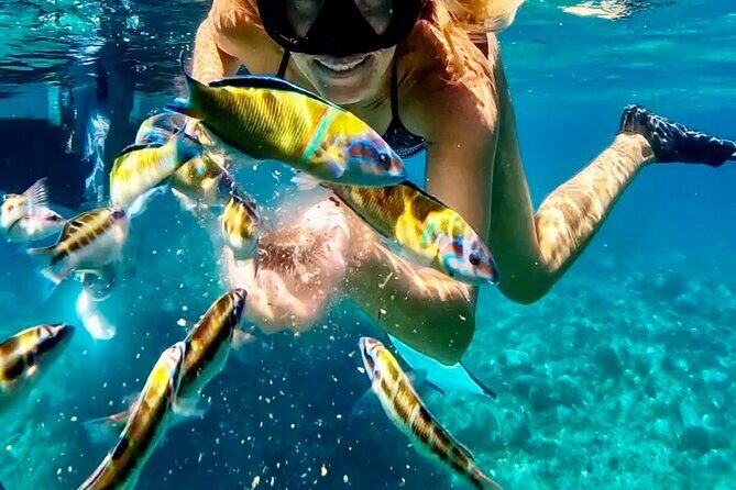 Tropea. Your Private Sea Adventure. Max 10 Guests. Top quality - What Makes This Tour Stand Out?