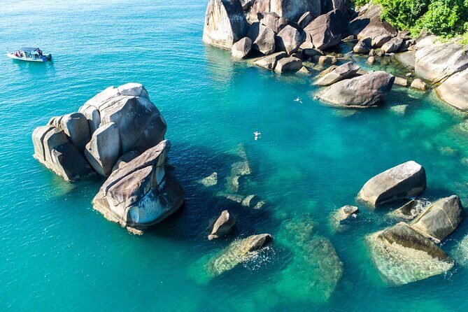 Tropical Dunk Island Half Day Activity from Mission Beach - Pricing and Value