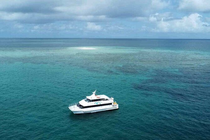 Tropical Dunk Island Half Day Activity from Mission Beach - Who Is This Tour Best For?