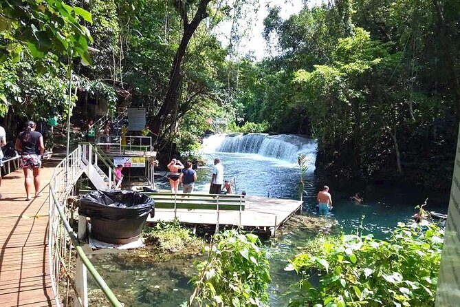 Tropical Splash Tour - The Sum Up