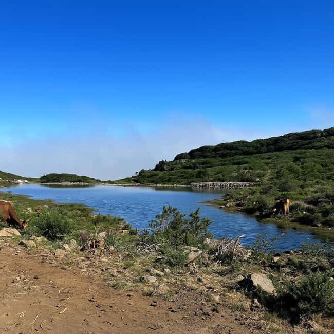 Tropical Tide, Porto Moniz & Fanal Forest 4WD Jeep Tour - FAQs