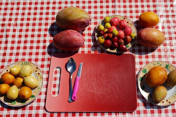 Tropical Tour: Avocado & Mango Farm - Small group and tasting - Final Thoughts