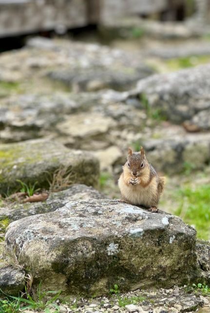 Troy: Full-Day Tour from Istanbul - The Basics of the Troy Full-Day Tour
