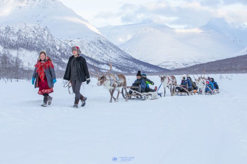 True Locals of the Arctic: Reindeer Sledding at Camp Tamok - Practical Tips for Your Arctic Adventure