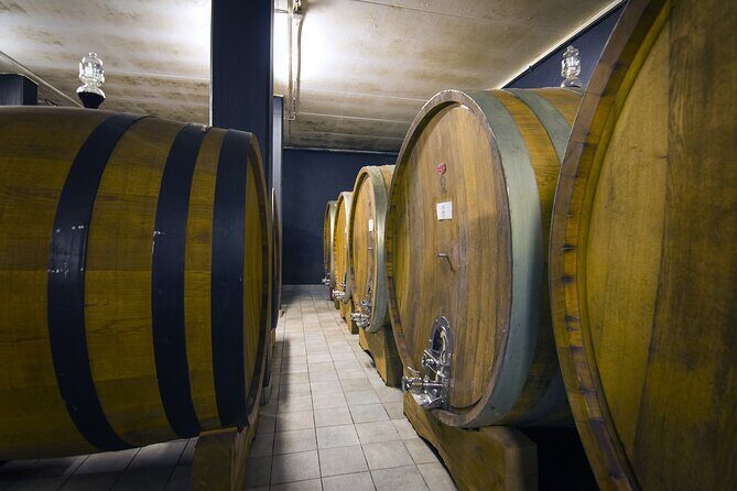 Truffle hunt and Barolo wine tasting - Final Thoughts