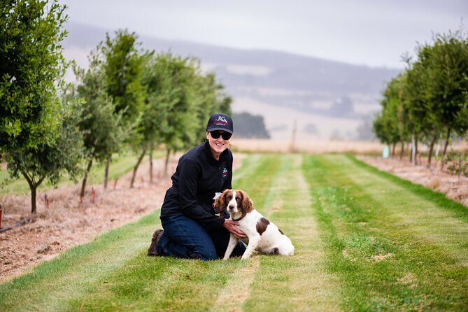 Truffle Hunt and Taste Experience in Oberon, NSW Australia - The Itinerary in Detail: What You Can Expect