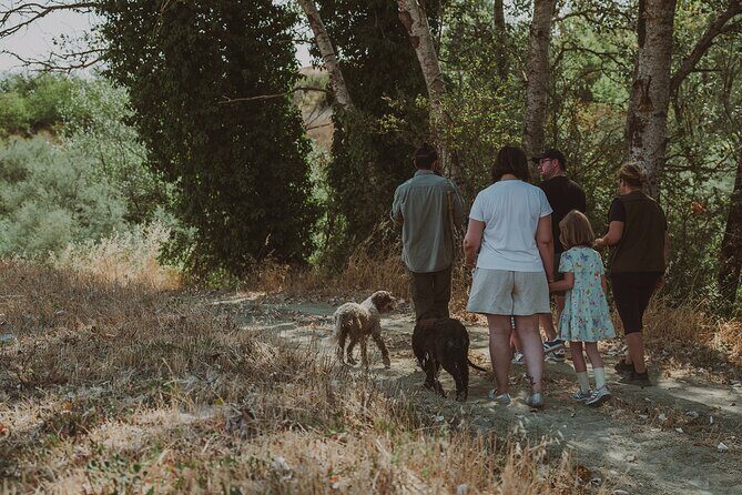 Truffle Hunt in Tuscany - The Value and Practicalities