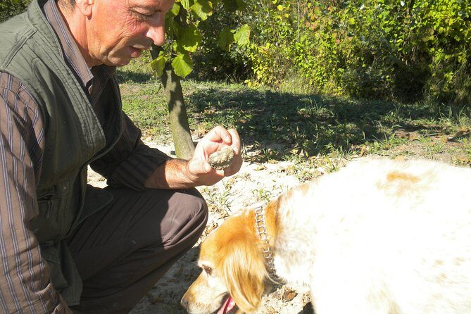 Truffle Hunt & Wine Tasting - Key Points