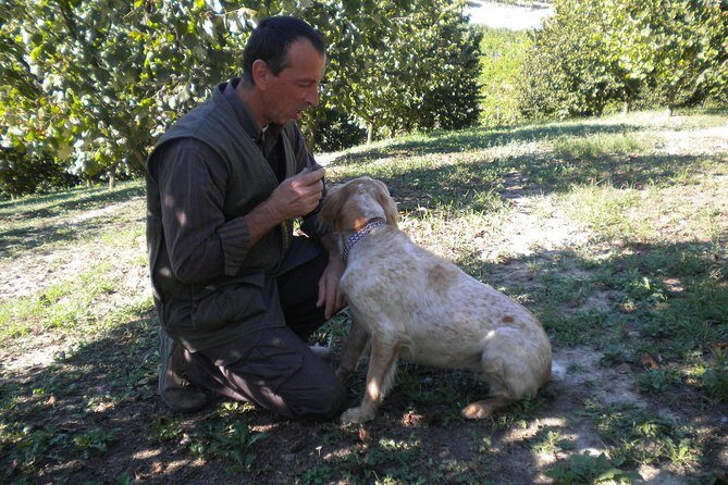 Truffle Hunt & Wine Tasting - A Closer Look at the Experience