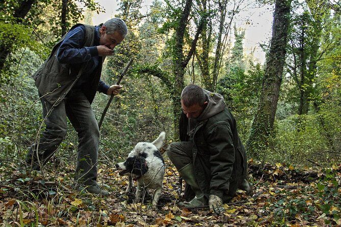Truffle Hunt & Wine Tasting - FAQ