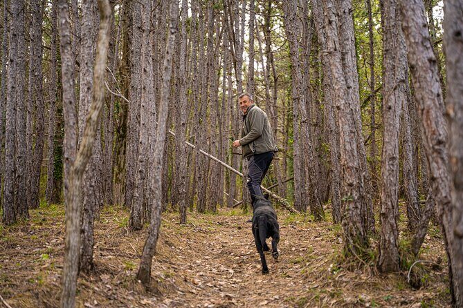 Truffle Hunting and 3-course Truffle Brunch in Motovun - Exploring the Truffle Hunting and Brunch Experience in Motovun
