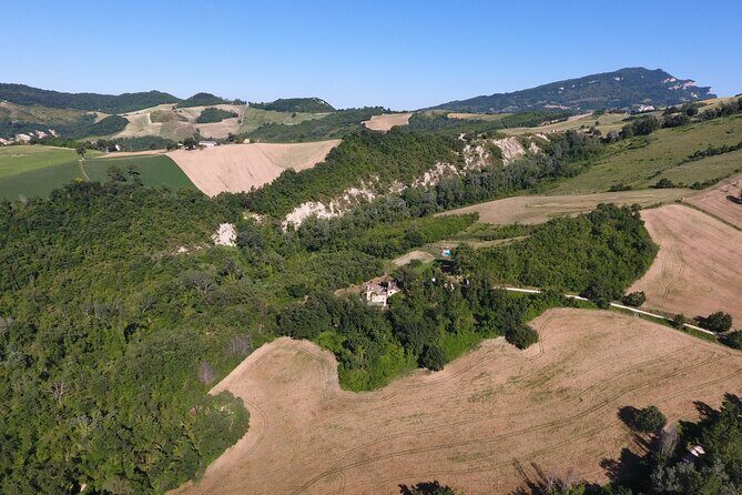 Truffle Hunting and Handmade Pasta in Ascoli Piceno - Who Will Love This Experience?