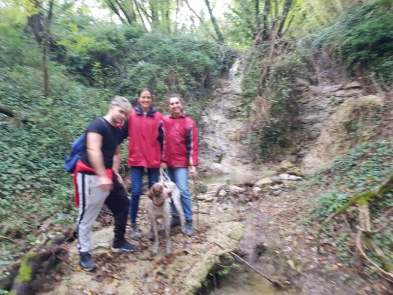 Truffle Hunting Experience with a Guide - The Sum Up