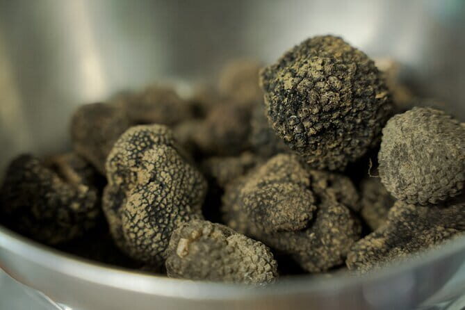 Truffle hunting + gourmet tasting (transfer included) - The Sum Up