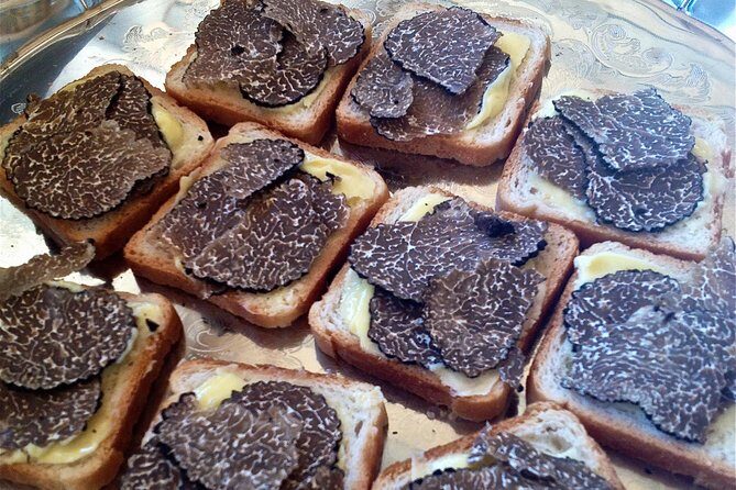 Truffle Hunting in Provence - A Deep Dive into the Truffle Hunting Experience