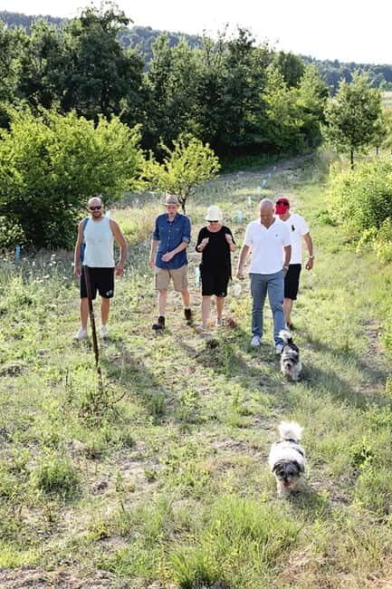 Truffle Hunting in Provence - Why This Tour Offers Great Value